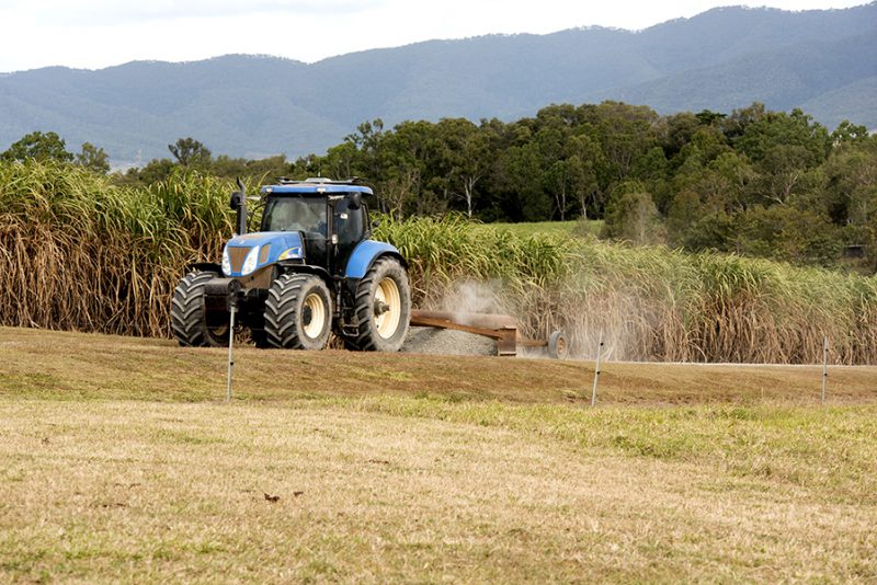 Home - Note Park Grazing Co.