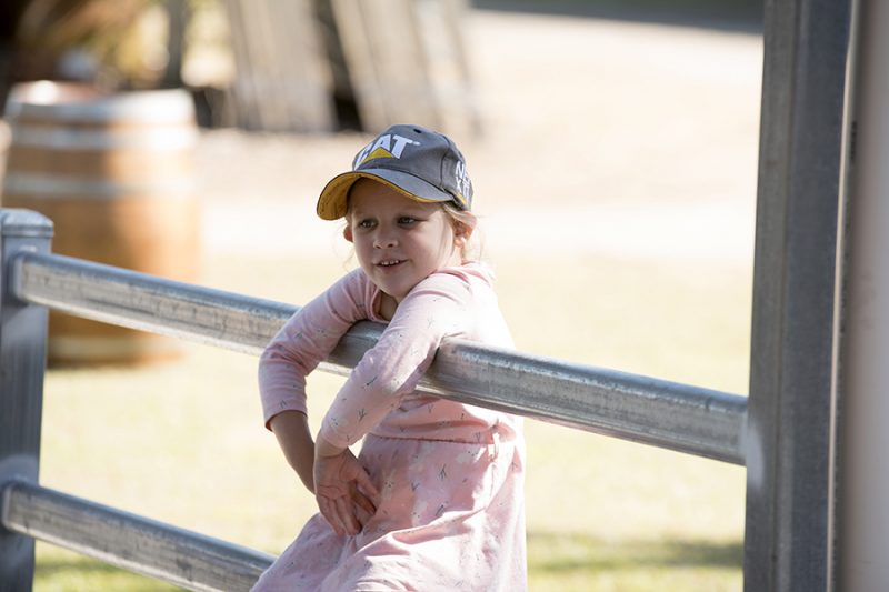 Home - Note Park Grazing Co.