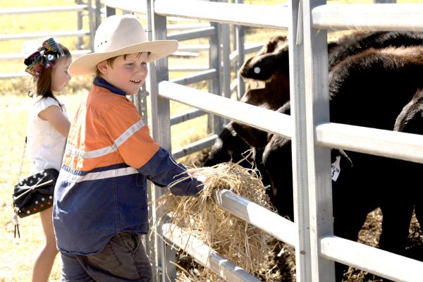 Home - Note Park Grazing Co.