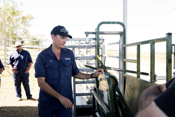 Home - Note Park Grazing Co.