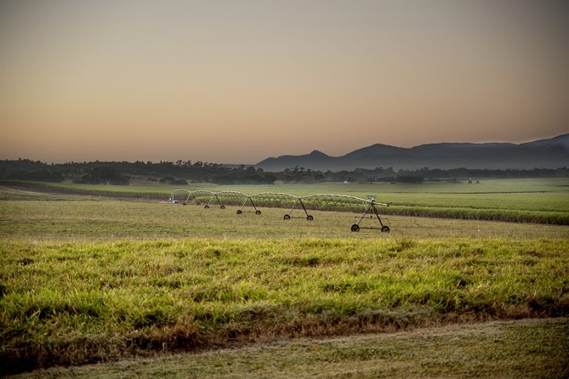 Home - Note Park Grazing Co.
